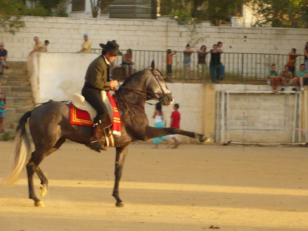 ESCUELA DE EQUITACION ALFONSO PORRAS MAESTRE Carretera CO 7218 Km escuela-de-equitacion-alfonso-porras-maestre-carretera-co-7218-km