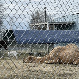 NARROWAY PRODUCTIONS - Updated July 2025 - 62 Photos & 39 Reviews ...