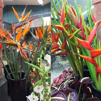 METROPOLITAN PLANT & FLOWER EXCHANGE - Updated December 2025 - 56 ...