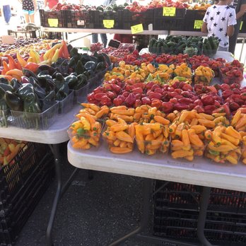 DALE CITY FARMERS MARKET - Updated May 2024 - 79 Photos & 61 Reviews ...