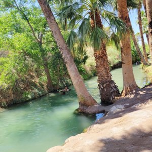 PALM CREEK RV RESORT AND PICNIC GROUNDS - 97 Photos & 32 Reviews - 3215 ...