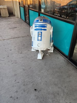 FUNKATRONIC REX - GAMES & MORE - Updated December 2025 - 82 Photos & 30 ...