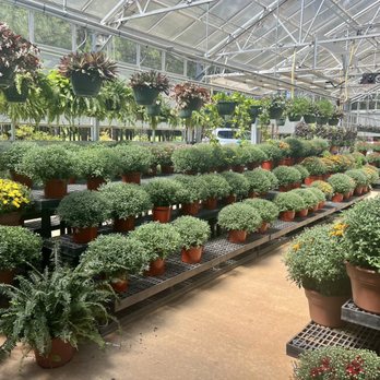 ENO RIVER FARM - Updated June 2025 - 114 Photos & 48 Reviews - 2127 St ...