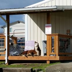 Best Zoos Near Me - October 2025: Find Nearby Zoos Reviews - Yelp