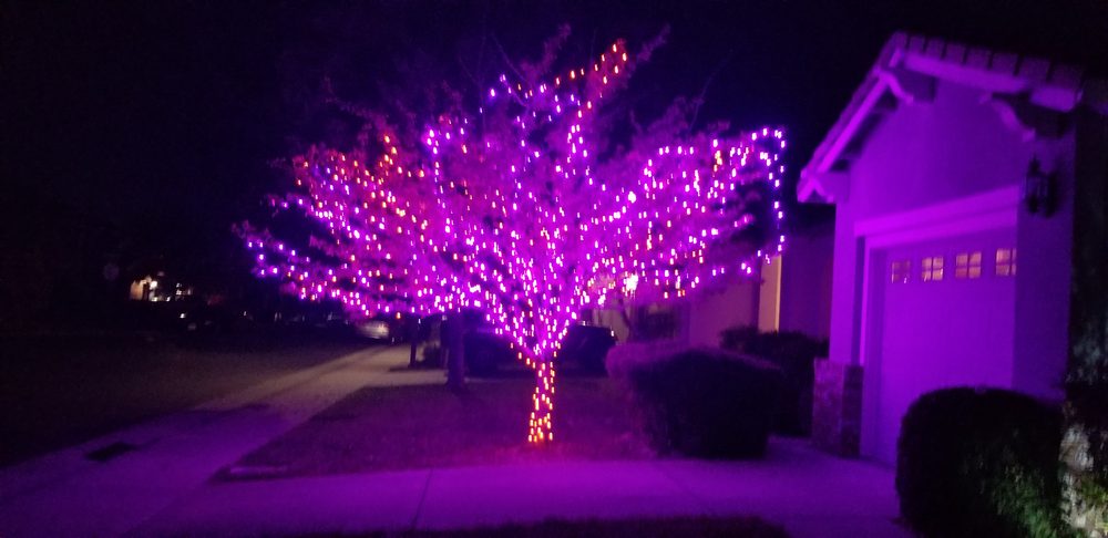 1000BULBS - Updated December 2025 - 103 Reviews - 1475 Republic Pkwy ...