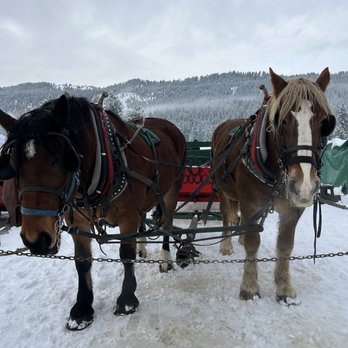 ICICLE OUTFITTERS & GUIDES/LEAVENWORTH SLEIGH RIDES - Updated December ...
