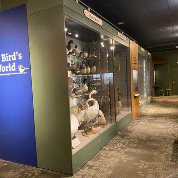 MUSEUM OF SCIENCE - Updated December 2024 - 1562 Photos & 818 Reviews ...