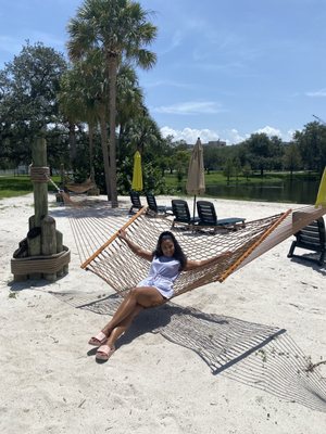 UNIVERSITY OF SOUTH FLORIDA - Updated July 2025 - 139 Photos & 71 ...