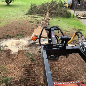 COUNTY TREE SERVICE - Updated December 2024 - 10 Photos & 13 Reviews ...