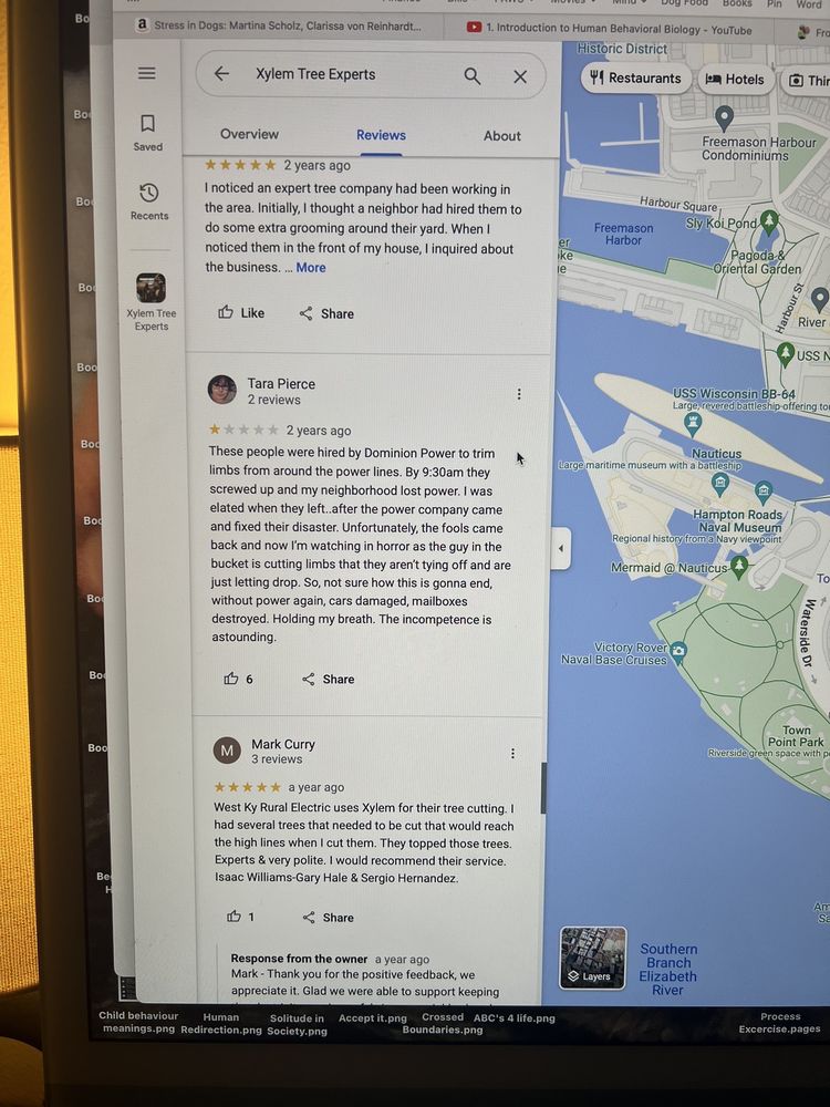 XYLEM TREE CARE - Updated December 2025 - 208 E Plume St, Norfolk ...