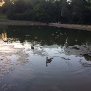 DOLING PARK AND FAMILY CENTER - 17 Photos - 301 E Talmage St ...