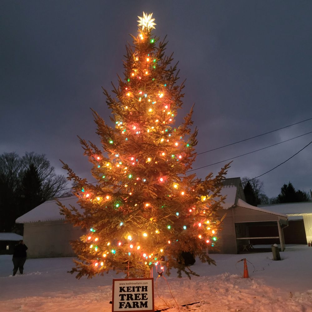 KEITH TREE FARM - Updated July 2025 - 9382 Keith Rd, North Brookfield ...