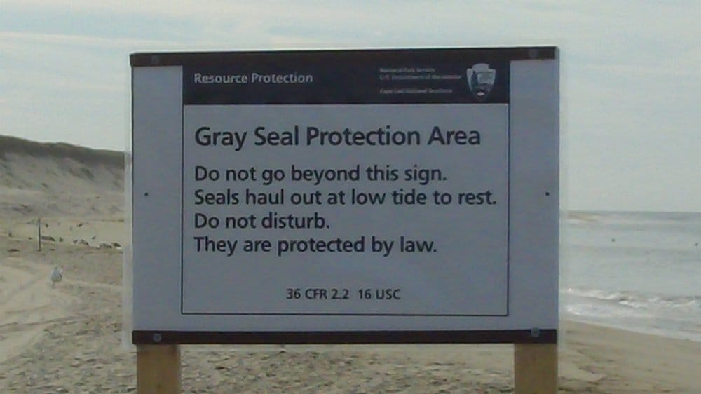 HIGH HEAD BEACH - Updated August 2025 - High Head Rd, Truro ...