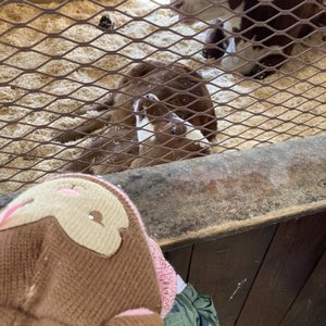 SUSON PARK - 132 Photos & 33 Reviews - 6059 Wells Rd, Saint Louis ...