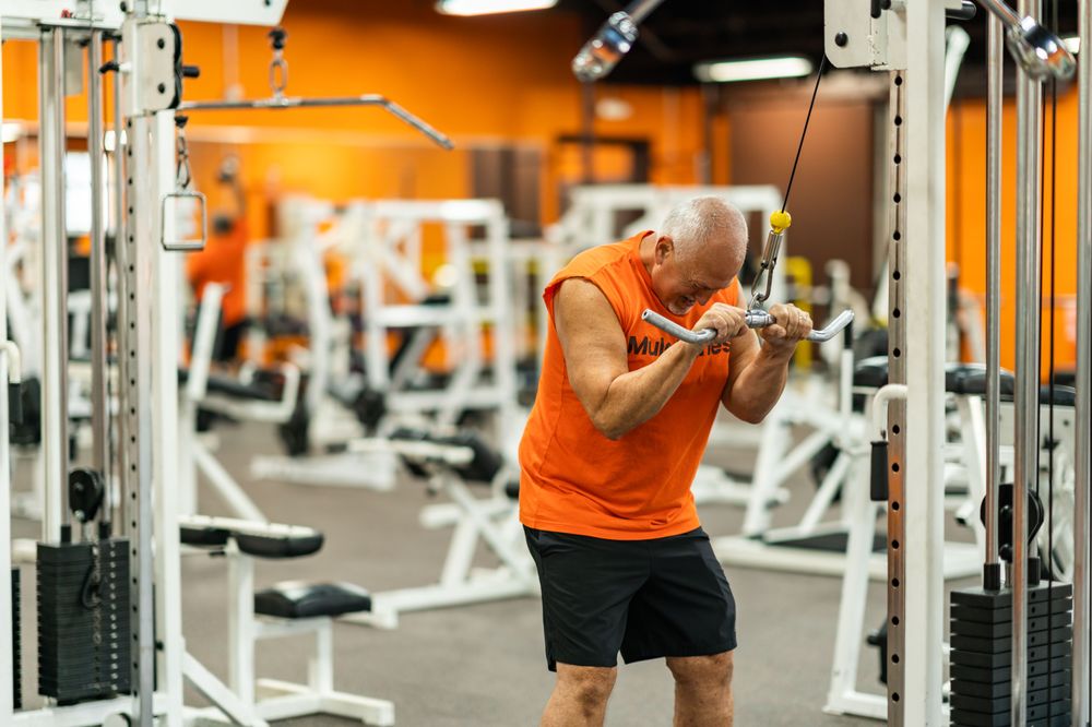 MULE FITNESS - Updated December 2025 - 17 Photos - 260 Forest Ave ...