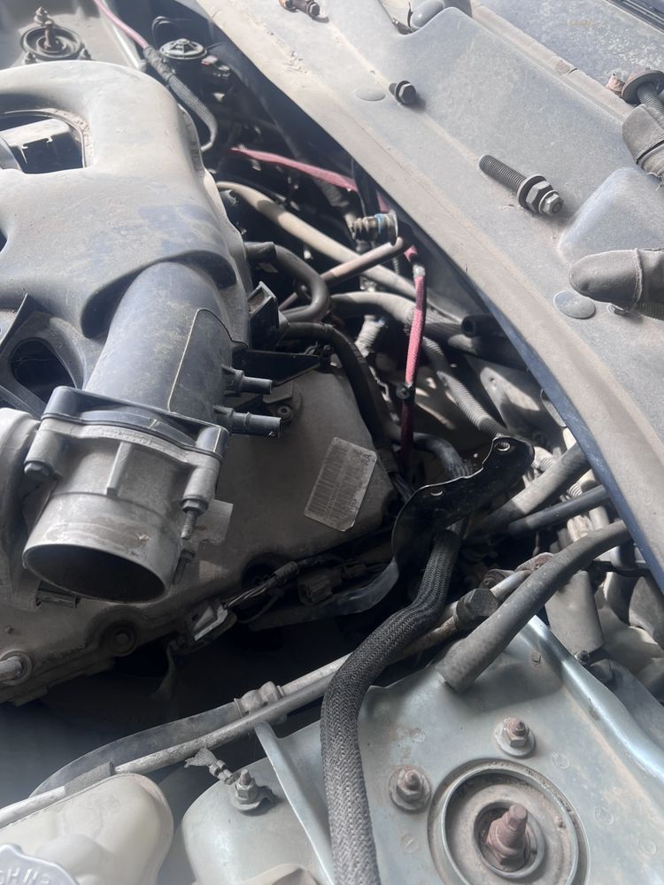 WRIGHT WAY SERVICES - Updated April 2025 - Request a Quote - Tallulah ...