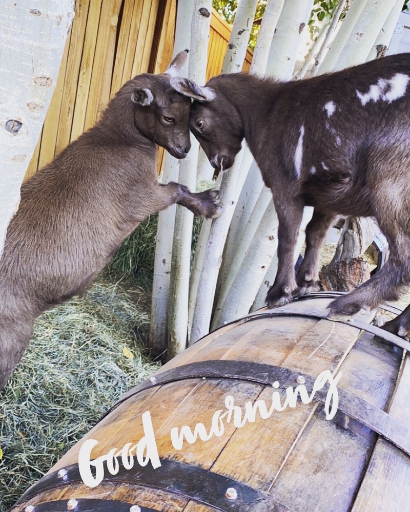 WILCO FARM STORE - BEND - Updated November 2024 - 15 Photos & 25 ...