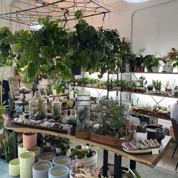 DANDY LION COFFEE - Updated December 2024 - 229 Photos & 115 Reviews ...