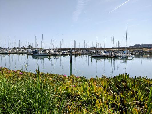 OYSTER POINT PIER - Updated July 2024 - 148 Photos & 33 Reviews ...
