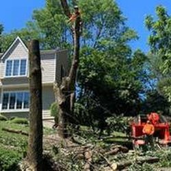 FOUR SEASON TREE SERVICES - 77 W Dewey Ave, Wharton, NJ - Yelp