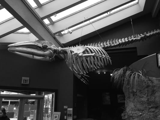 SEA DISCOVERY CENTER - 39 Photos & 25 Reviews - Aquariums - 18743 Front ...