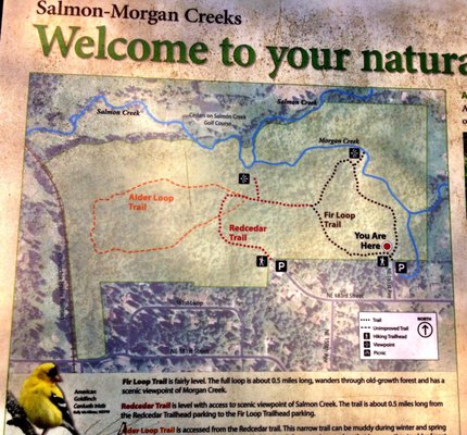SALMON CREEK-MORGAN CREEK NATURAL AREA - Updated May 2024 - NE 161st ...