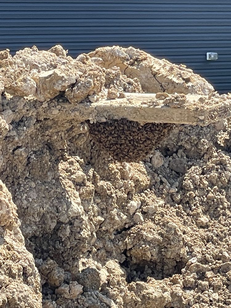 HAPPY HIVE PEST MANAGEMENT - Updated November 2025 - 19 Photos - 4401 ...