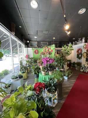 Ehrman’s Allburn Florists - Updated May 2026 - 38 Photos & 30 Reviews ...