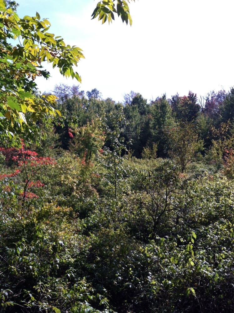 FOWLER WOODS STATE NATURE PRESERVE - Updated May 2025 - 12 Photos ...