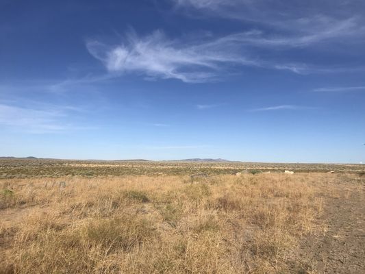 CENTRAL OREGON HWY REST AREA - Updated June 2024 - 16 Photos - 34400 ...