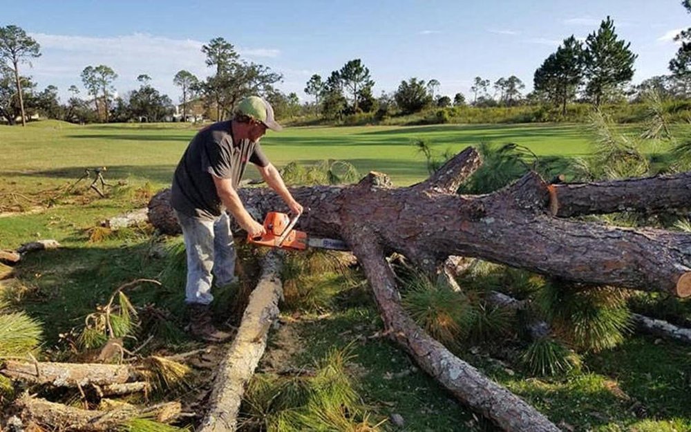 NEEL AND SONS TREE SERVICE - THOMASVILLE - 209 W Jackson St ...