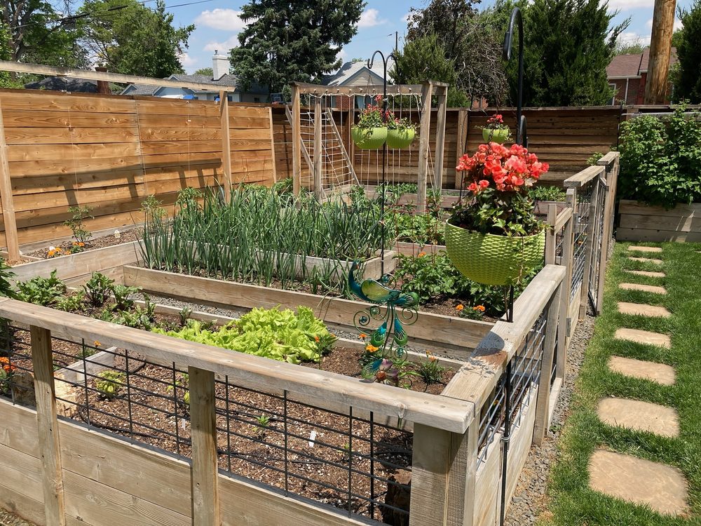 MAGNOLIA LANDSCAPING - Updated July 2025 - 24 Photos - Denver, Colorado ...