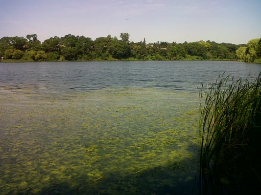 GRENADIER POND - Updated October 2025 - 14 Photos - High Park, Toronto ...
