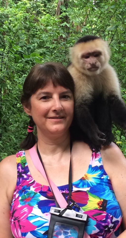 EL DORADO SHELL - Updated July 2025 - 41 Photos & 43 Reviews - 580 El ...