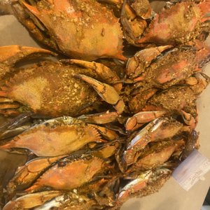 COSTAS INN - 389 Photos & 340 Reviews - 4100 N Point Blvd, Baltimore ...