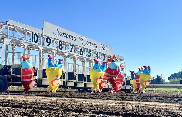SONOMA COUNTY FAIR - Updated December 2025 - 223 Photos & 85 Reviews ...