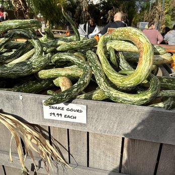 NALLS PRODUCE - Updated August 2025 - 394 Photos & 137 Reviews - 7310 ...