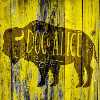 DOC & ALICE - Updated January 2026 - 2200 N Maple Ave, Rapid City ...