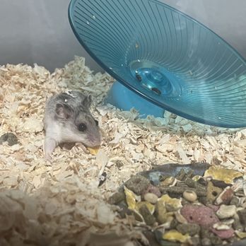 NEVINS FARM AND EQUINE CENTRE - Updated December 2025 - 38 Reviews ...