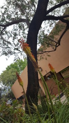 DR. STEVEN J. TRAUB ORAL AND MAXILLOFACIAL SURGERY - Updated October ...