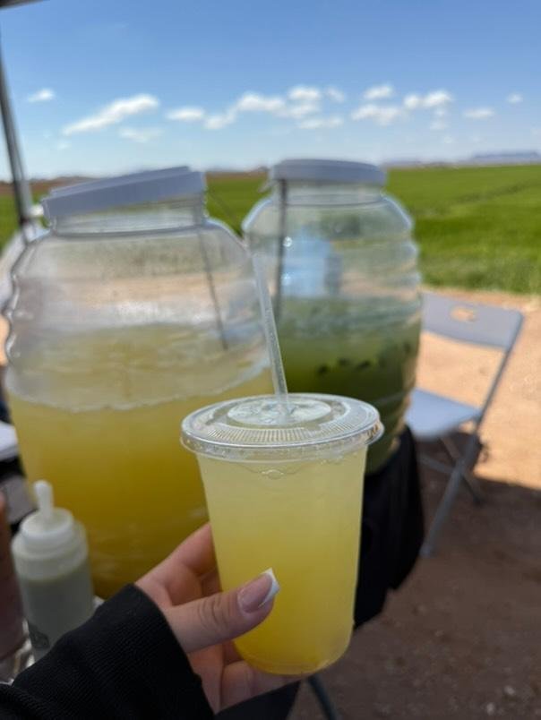 CARNITAS EL CACHETON - Updated March 2025 - 17 Photos - San Tan Valley ...