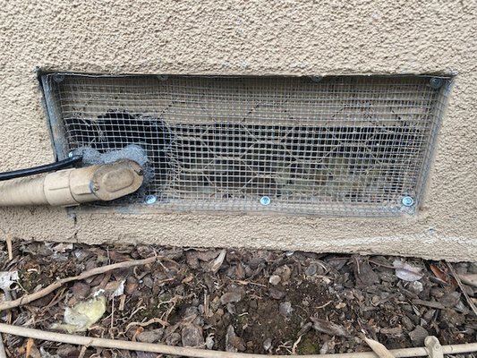 KILLROY PEST CONTROL - Updated December 2025 - 17 Photos & 300 Reviews ...