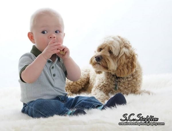 CREATIVE WORKS PHOTOGRAPHY - Updated September 2024 - 17 Photos - 384 ...