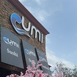 UMI SUSHI & SEAFOOD BUFFET - Updated November 2024 - 444 Photos & 235 ...