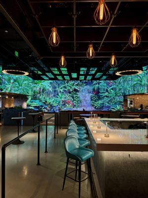 MIRRA - Updated March 2025 - 233 Photos & 22 Reviews - 500 Bellevue Way ...