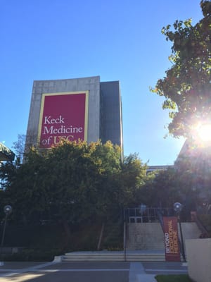 NORRIS MEDICAL LIBRARY - Updated November 2025 - 14 Photos & 25 Reviews ...