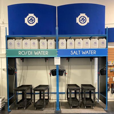 DEEP SEA CREATIONS - Updated April 2024 - 68 Photos & 106 Reviews ...