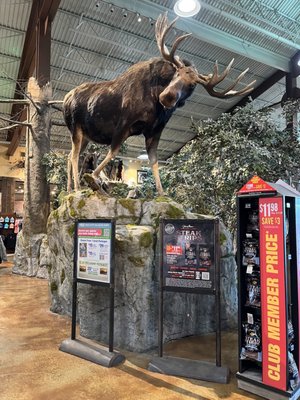 BASS PRO SHOPS - Updated January 2026 - 137 Photos & 146 Reviews - 1 ...