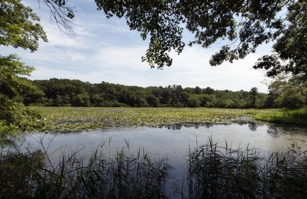 PECONIC RIVER HERB FARM - 126 Photos & 28 Reviews - 2749 River Rd ...