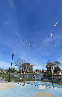 DOVER PARK - Updated October 2025 - 800-826 E Travis Blvd, Fairfield ...